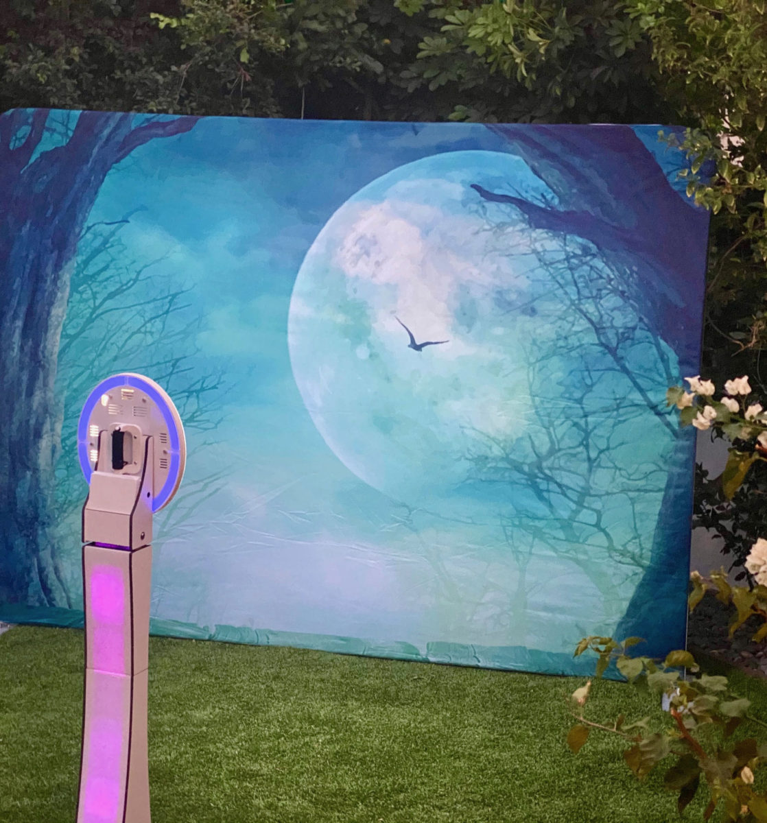 Curve Booth Duo - Coachella Party